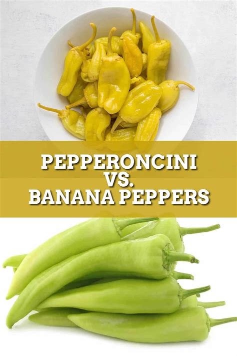 Pepperoncini Vs Banana Pepper A Comparison Chili Pepper Madness
