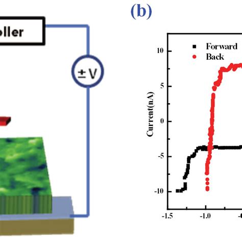 A Schematic Diagram Of A Position C Afm Probe Configuration Where The Download Scientific