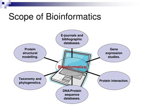 Ppt Bioinformatics Sources For Biology Research Powerpoint