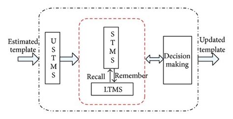 Three Stage Memory Model For Appearance Template Updating Download Scientific Diagram