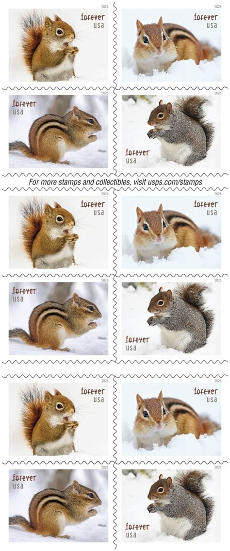 Squirrels Just Posted On The Usps Website These New Postage Stamps