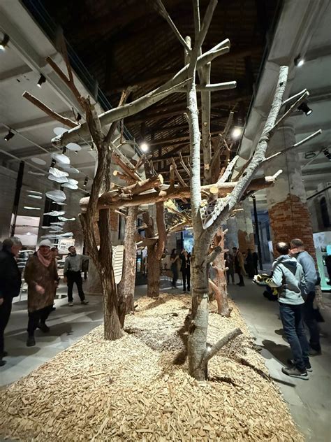 Domino 30 Generated Living Structure Institute Of Bioeconomy Domino 30 Generated Living Structure Institute Of Bioeconomy