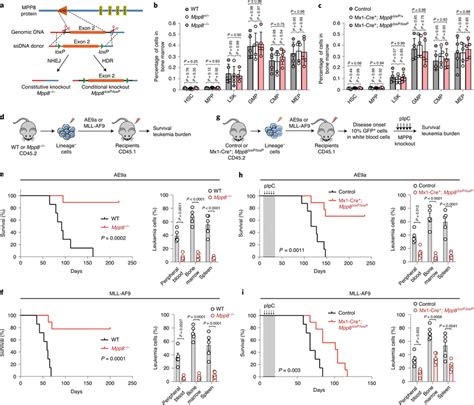 Mpp8 Is Dispensable For Hematopoiesis But Required For Aml Development Download Scientific