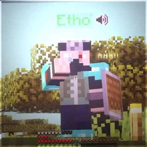 Ethoslab Edit Ethoslab Face Reveal Ethoslab Base