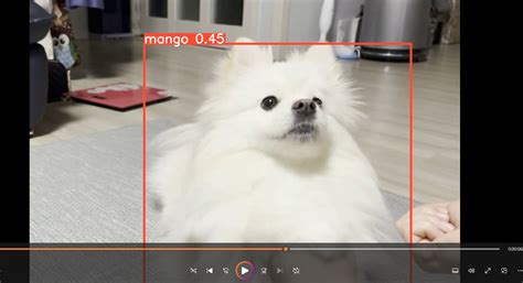 Github 2swonobject Detection Customdataset 직접 찍은 강아지 동영상을 Frame 단위로