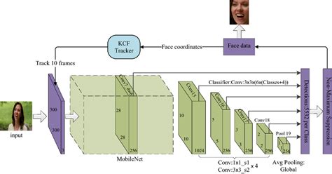 Structure Of Face Detection Network Download Scientific Diagram