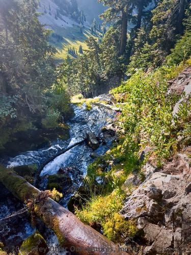 Backpacking The Cispus Pass Loop Goat Rocks Wilderness Grey Otter Outventures®