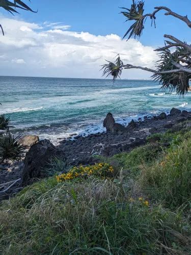 Best Hikes And Trails In Burleigh Heads Alltrails