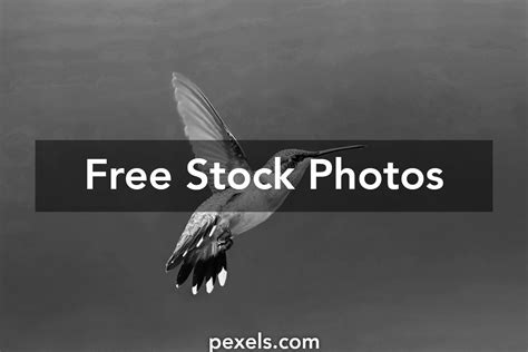 Diffusion Light Photos Download The Best Free Diffusion Light Stock