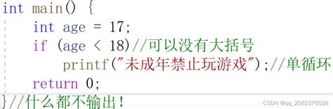 5分支和循环1 csdn博客