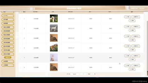 基于springboot vue uniapp的宠物店商城小程序的详细设计和实现 源码 lw 部署文档 讲解等 阿里云开发者社区