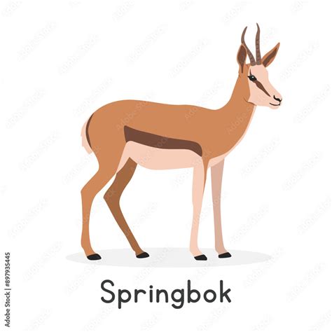 Springbok Vector Illustration Cartoon Clipart Character Animal In