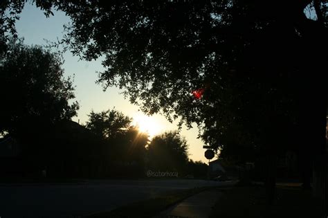 About Isabelle Reese