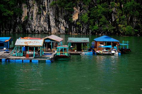 Le Ninfe Dellisola Galleggiante Mito E Mistero