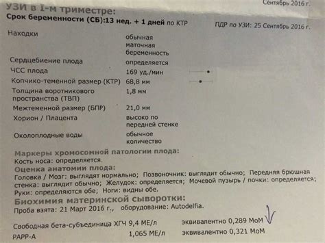 1 триместр беременности это сколько акушерских недель: что происходит в ...