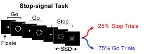 Figure 1 From A Time Series Based Point Estimation Of Stop Signal