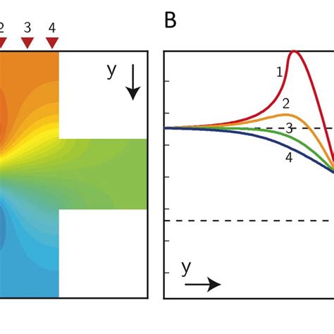 Electric Potential Mapping From A Spice Based Resistor Network Download Scientific Diagram
