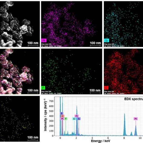 Microstructure [secondary Electron Se Image] Elemental Distribution