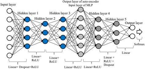 Human Brain Mapping Neuroimaging Journal Wiley Online Library