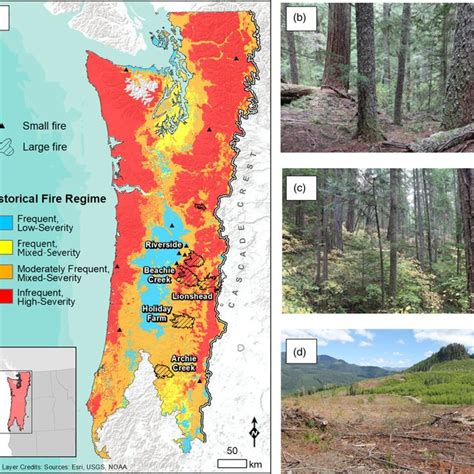 A Historical Fire Regimes Reilly Et Al 2021 And 2020 Fire Download Scientific Diagram