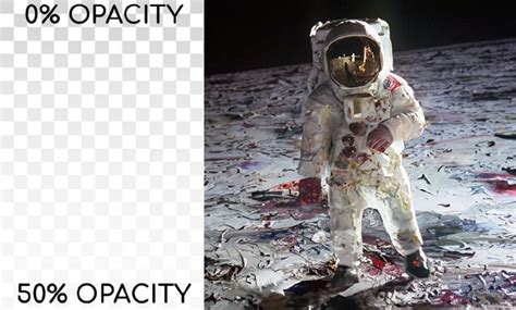 Selection Opacity Affects Generative Fill Results Rphotoshop