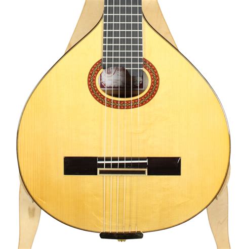 Buy Classical Electric Guitars In Boca Raton Florida Guitars From Spain