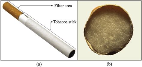 A A Cigarette Stick And B Cross Section Of Cigarette Butt Filter
