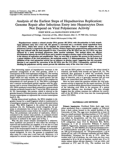 Analysis Of The Earliest Steps Of Hepadnavirus Replication Genome