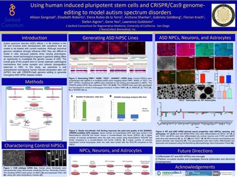 Stem Cell Sorting Made Gentle For Cell Therapies Nanocellect