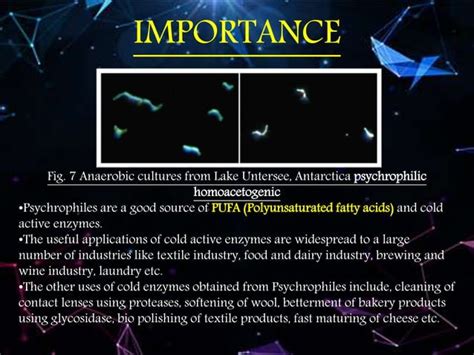 Introduction To Extremophiles Part 1 Ppt