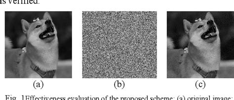 Figure 1 From Optical Encryption Of Gray Image Based On Cs And Cgh With