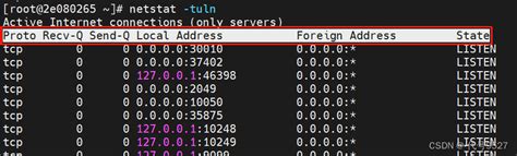 Linux查看网络情况与端口号 Netstatlinux 查看tcp连接对端的ip Csdn博客
