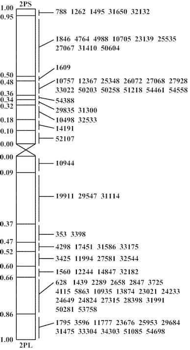 Molecular Marker Physical Map Of A Cristatum Chromosome 2p The Agc” Download Scientific