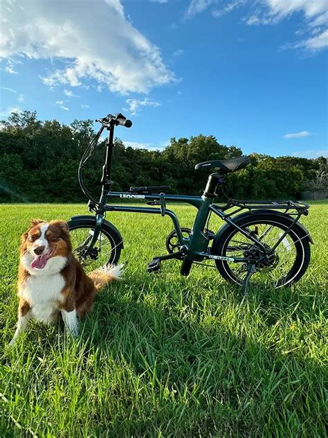 Ebike Display Not Working Troubleshoot And Fix Ebike Lcd Display