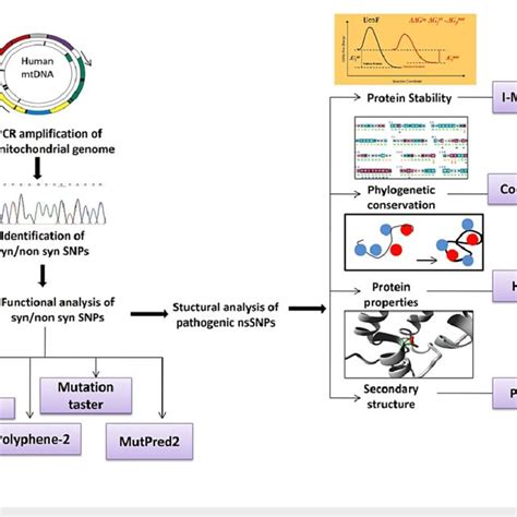 outline of the computational approaches employed for the identification
