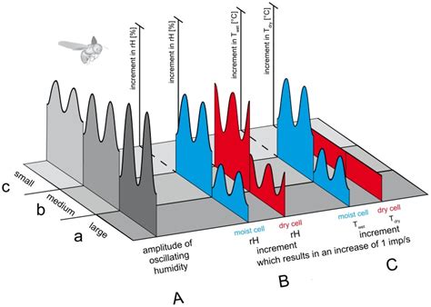 Sensitivity Is Defined As The Reciprocal Of The Stimulus Increment