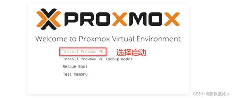 Pve系统安装 Csdn博客
