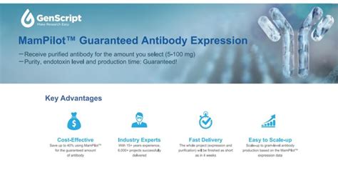 Genscript Asia Pacific On Linkedin Antibody Antibodyexpression