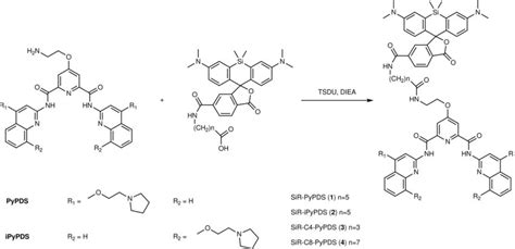 Sir Pypds Analogues Synthesized Sir Pypds Analogues 1 2 3 And 4