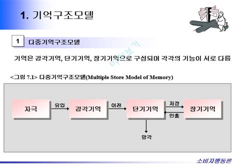 기억구조모델 다중기억구조모델 기억제어과정 감각기억 단기기억의 특성 장기기억내의 정보 스키마 schema 스크립 script