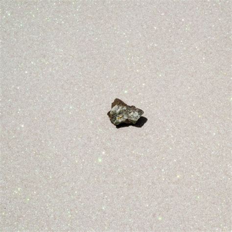 Fabiola Cedillo Cómo Ser Fotógrafa