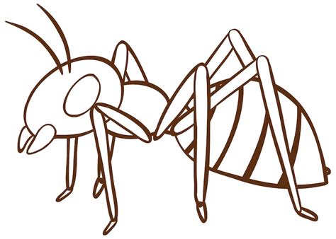 Mier Tekening Afbeeldingen Gratis Downloaden Op Freepik