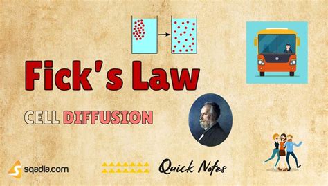 Cell Diffusion Ficks Law