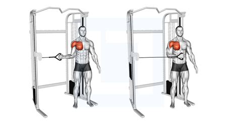 Cable Shoulder Internal Rotation Guide Benefits And Form