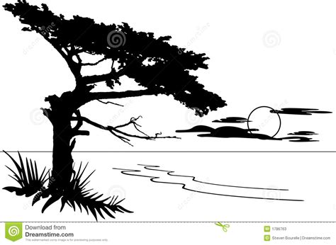 Monterey Clipart 20 Free Cliparts Download Images On Clipground 2024