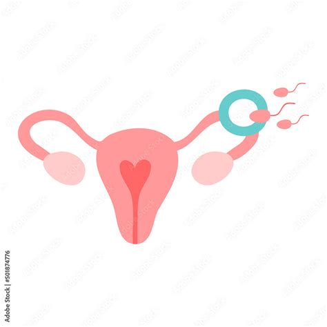 Fertilization Icon Uterus Sperm Insemination Fertilization In The