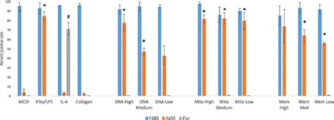 in vitro macrophage phenotype quantification quantification of data