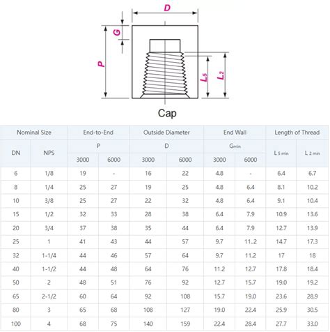 Ss316 Cap Order From Indonesia Stainless Steel Pipe Fittings Manufacture