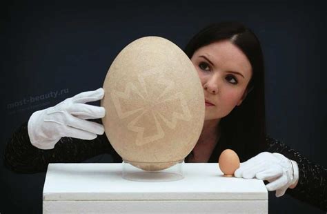 Самые удивительные случаи животного гигантизма в истории