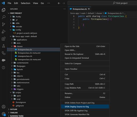 How To Connect Visual Studio Code With Salesforce Salesforce Mamba